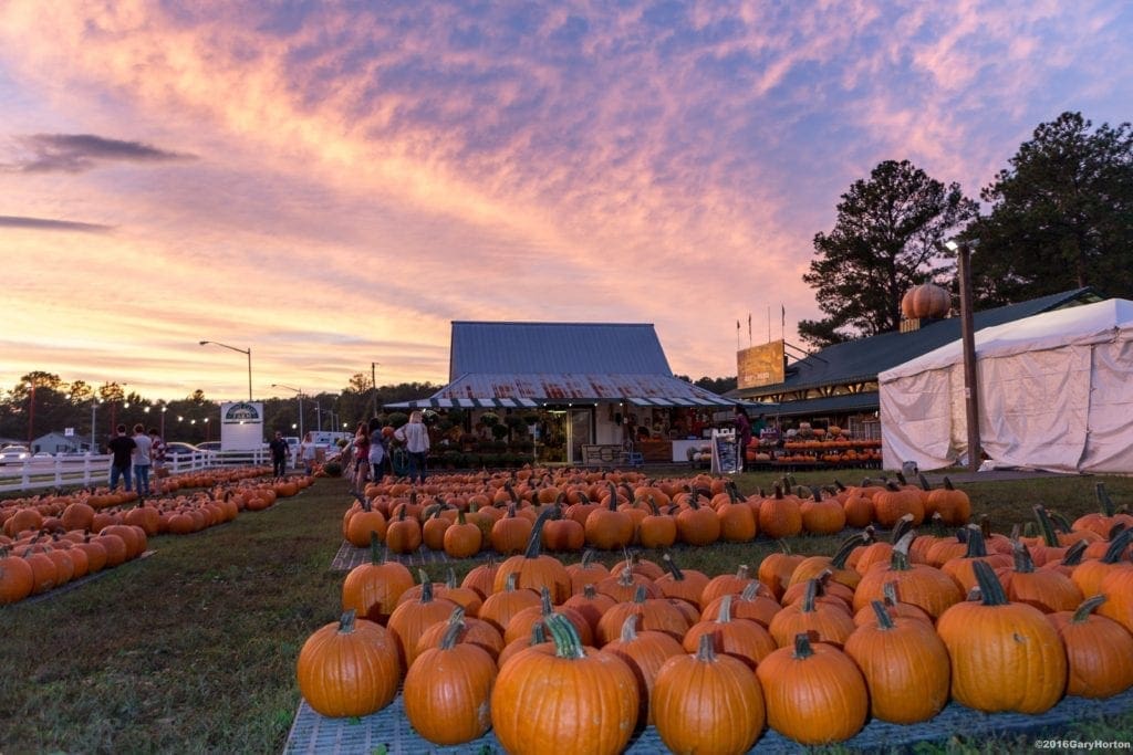 Hunt Club Farm | Virginia Beach Visitors Guide