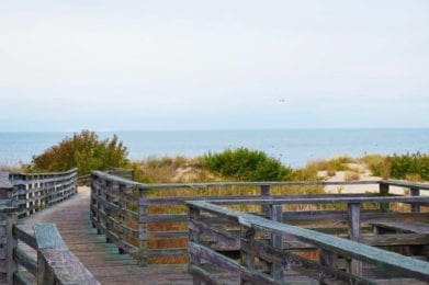 False Cape State Park | Virginia Beach Visitors Guide