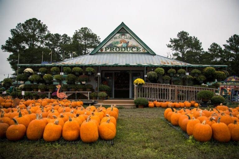 Things to Do this Fall in Virginia Beach | Virginia Beach Visitors Guide