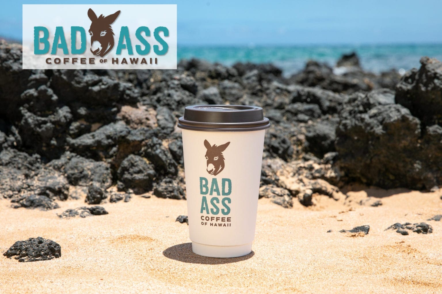 Bad Ass Coffee - Virginia Beach Visitors Guide