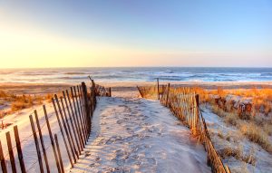 Virginia Beach Fall and Winter | Virginia Beach Visitors Guide