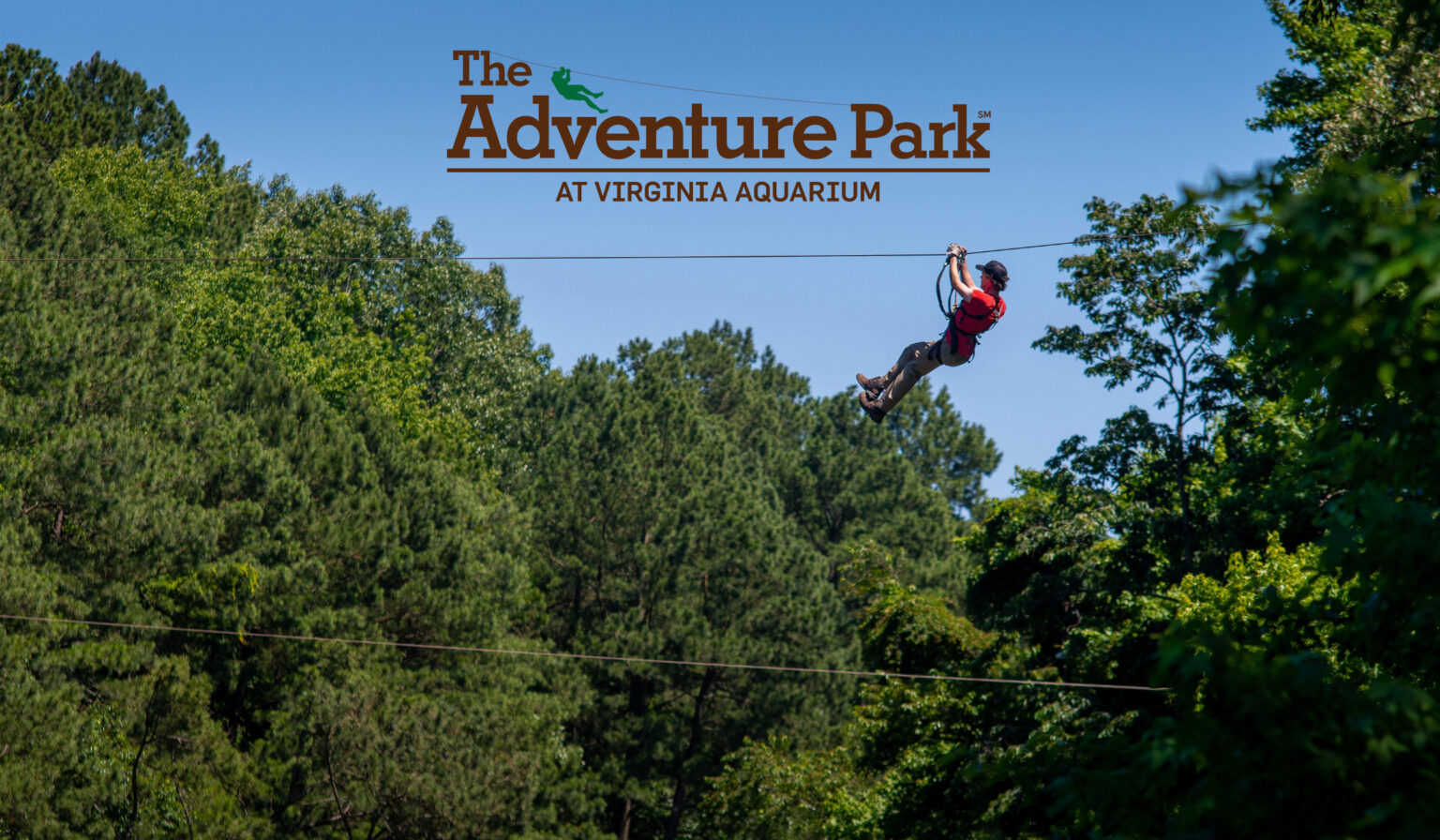 Adventure Park at Virginia Aquarium - Virginia Beach Visitors Guide